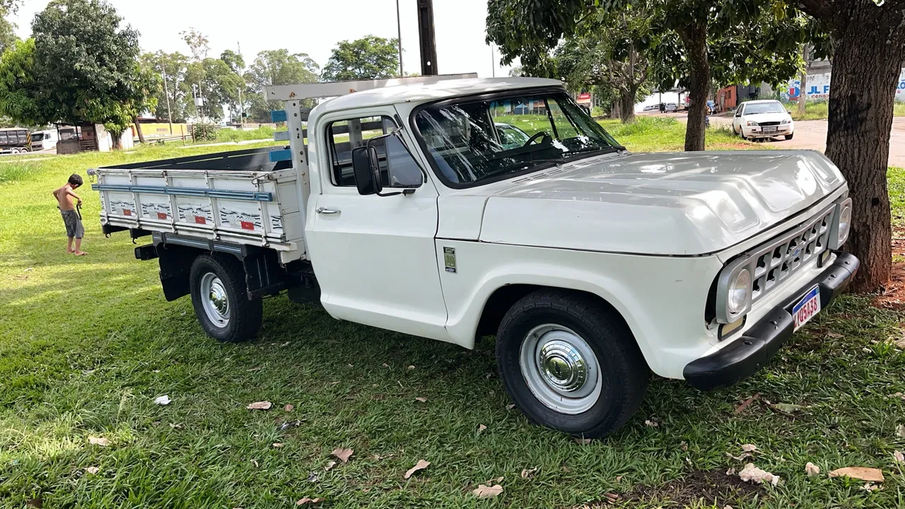 CHEVROLET D-10 1981 Usados e Novos