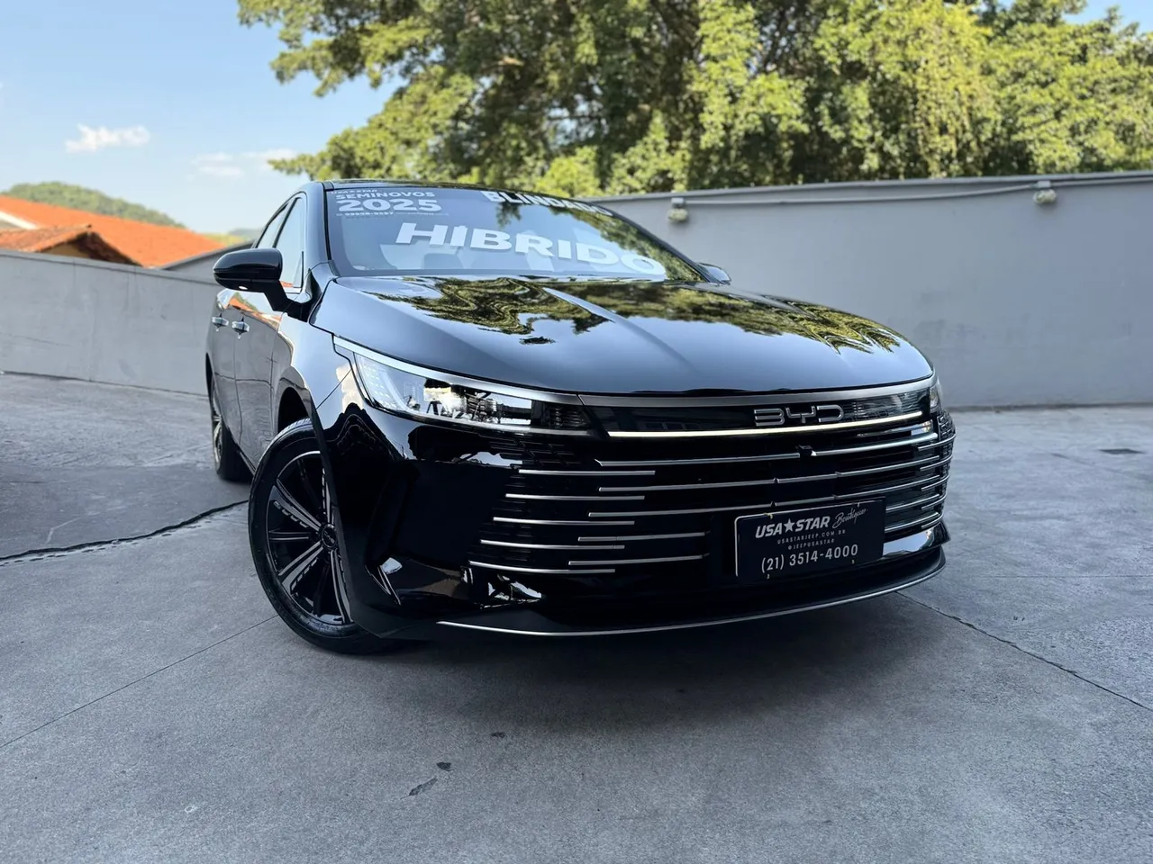 BYD King Usados e Novos no RJ