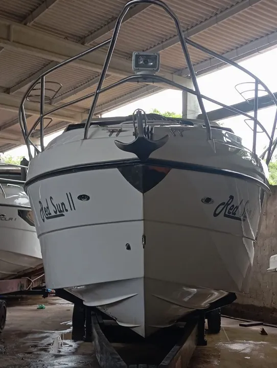 "cimitarra" no Brasil