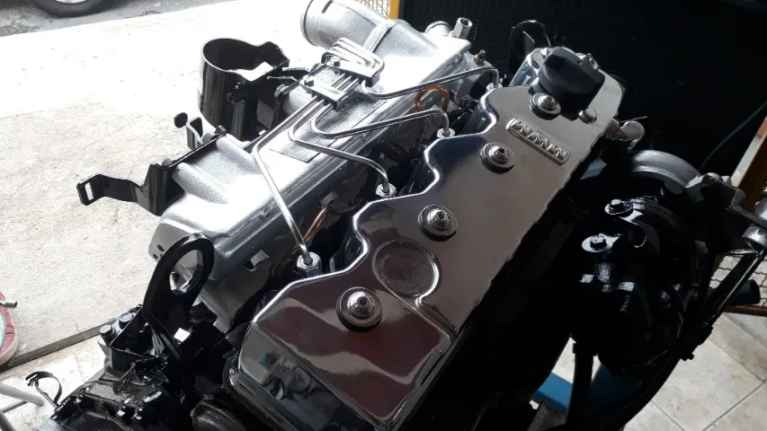 "motor mwm sprint" no Brasil