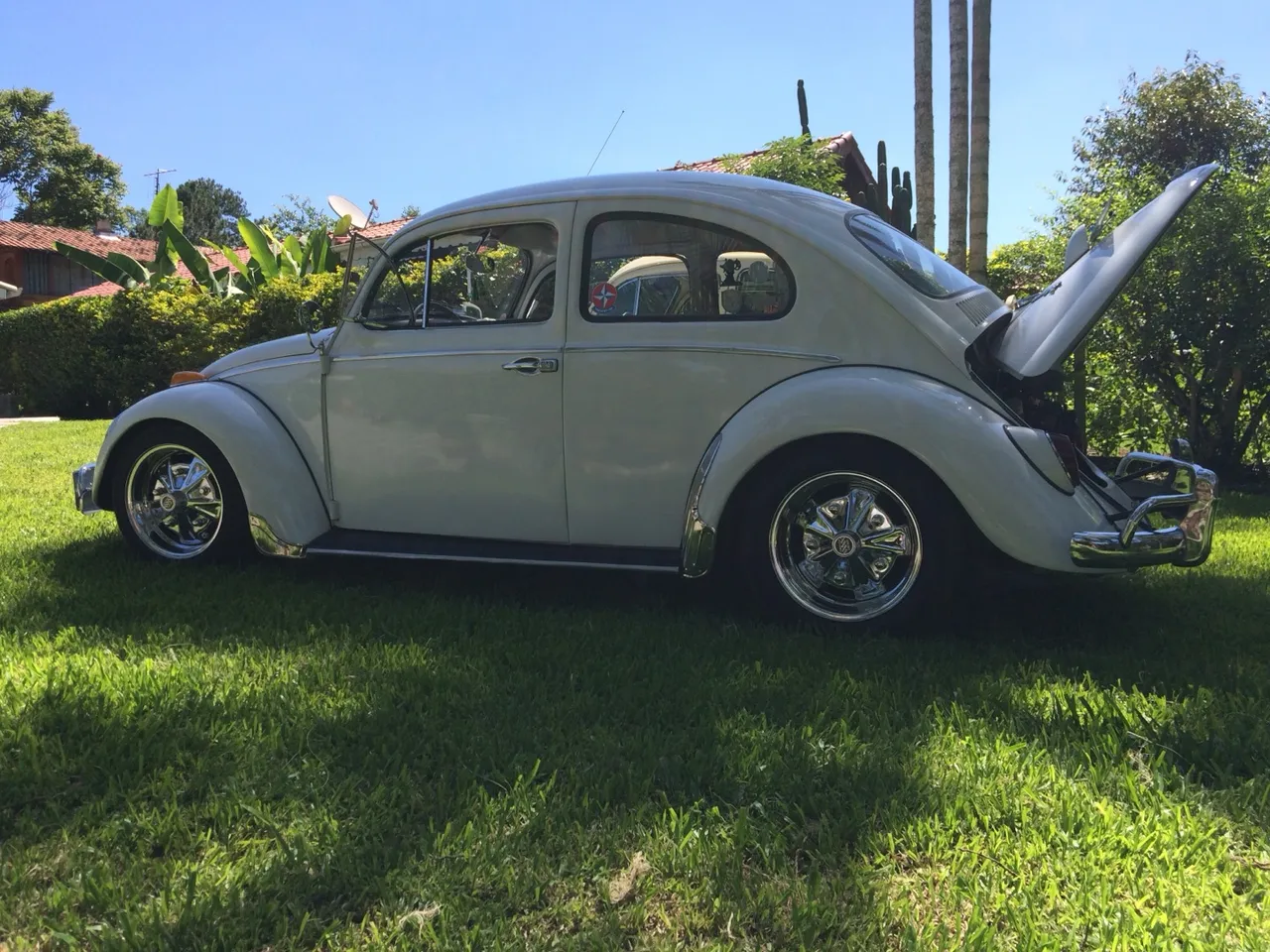 VOLKSWAGEN FUSCA 1968 Usados e Novos