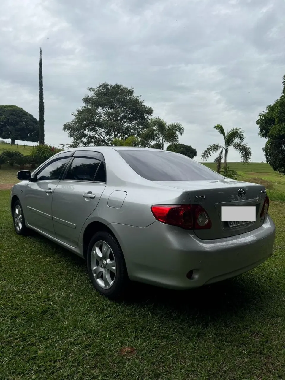 TOYOTA COROLLA 2011 Usados e Novos