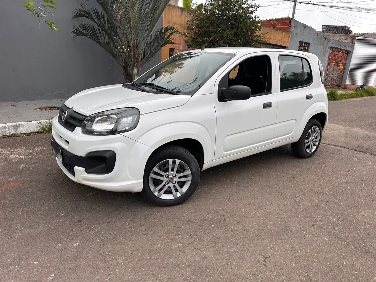 FIAT UNO Usados e Novos