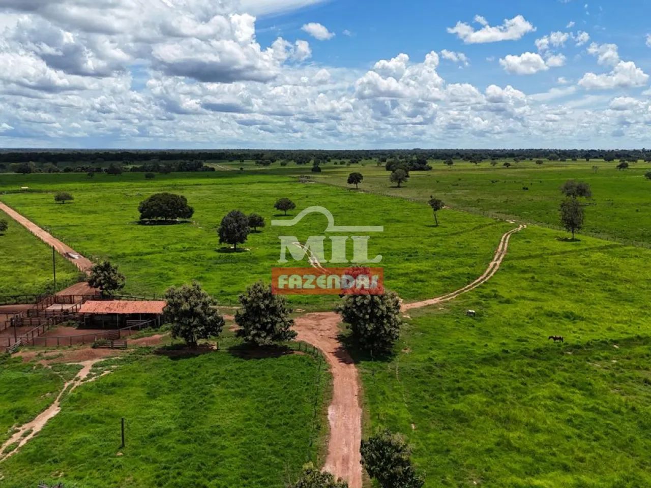 Fazenda 254 Alqueires (1.210 hectares) São Miguel do Araguaia - GO ...