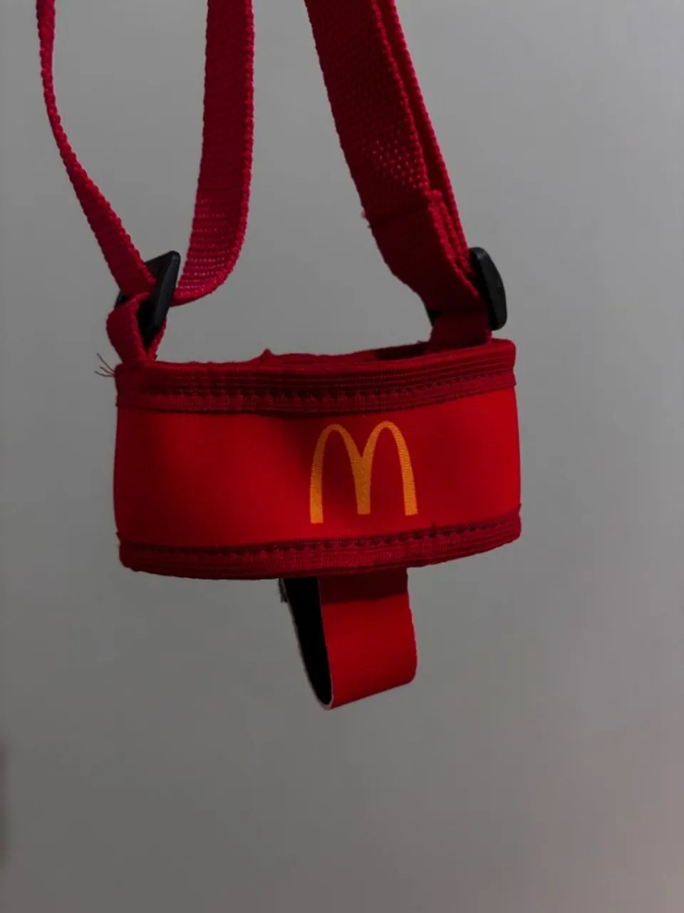 Suporte de Batata Frita McDonald?s - Lollapalooza 2025 (Original ...