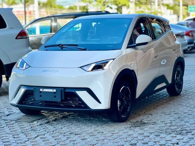 BYD DOLPHIN Usados e Novos