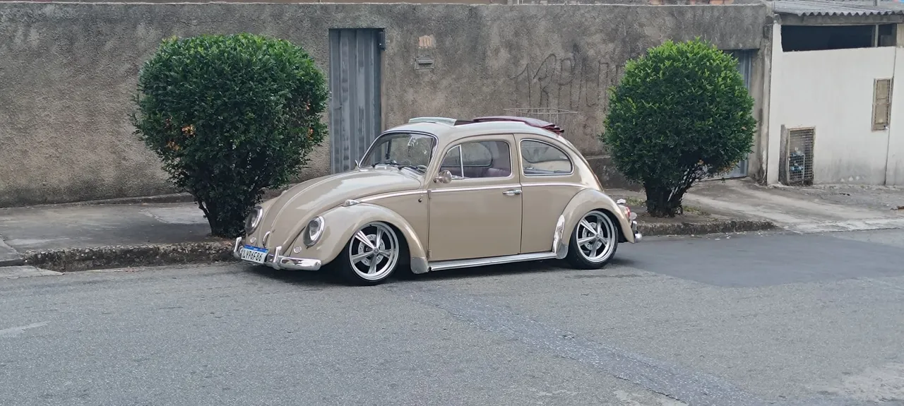 VOLKSWAGEN FUSCA 1969 Usados e Novos