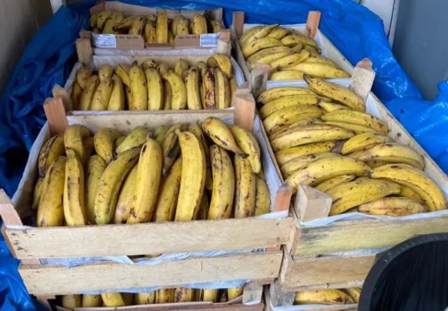 "banana da terra" no Brasil