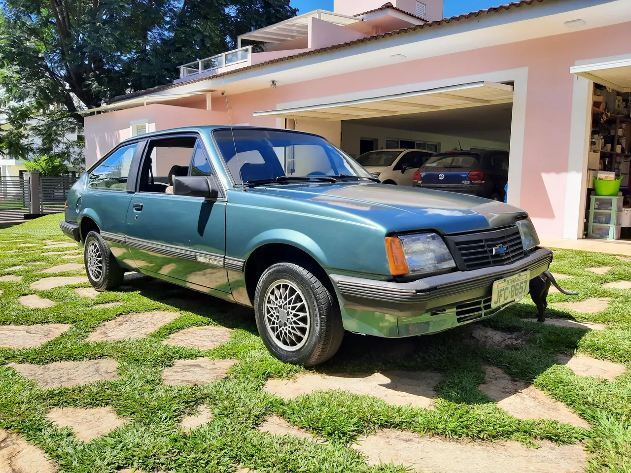 CHEVROLET MONZA Usados e Novos