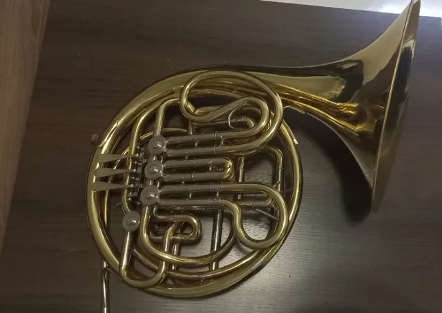 "instrumento trompa" no Brasil