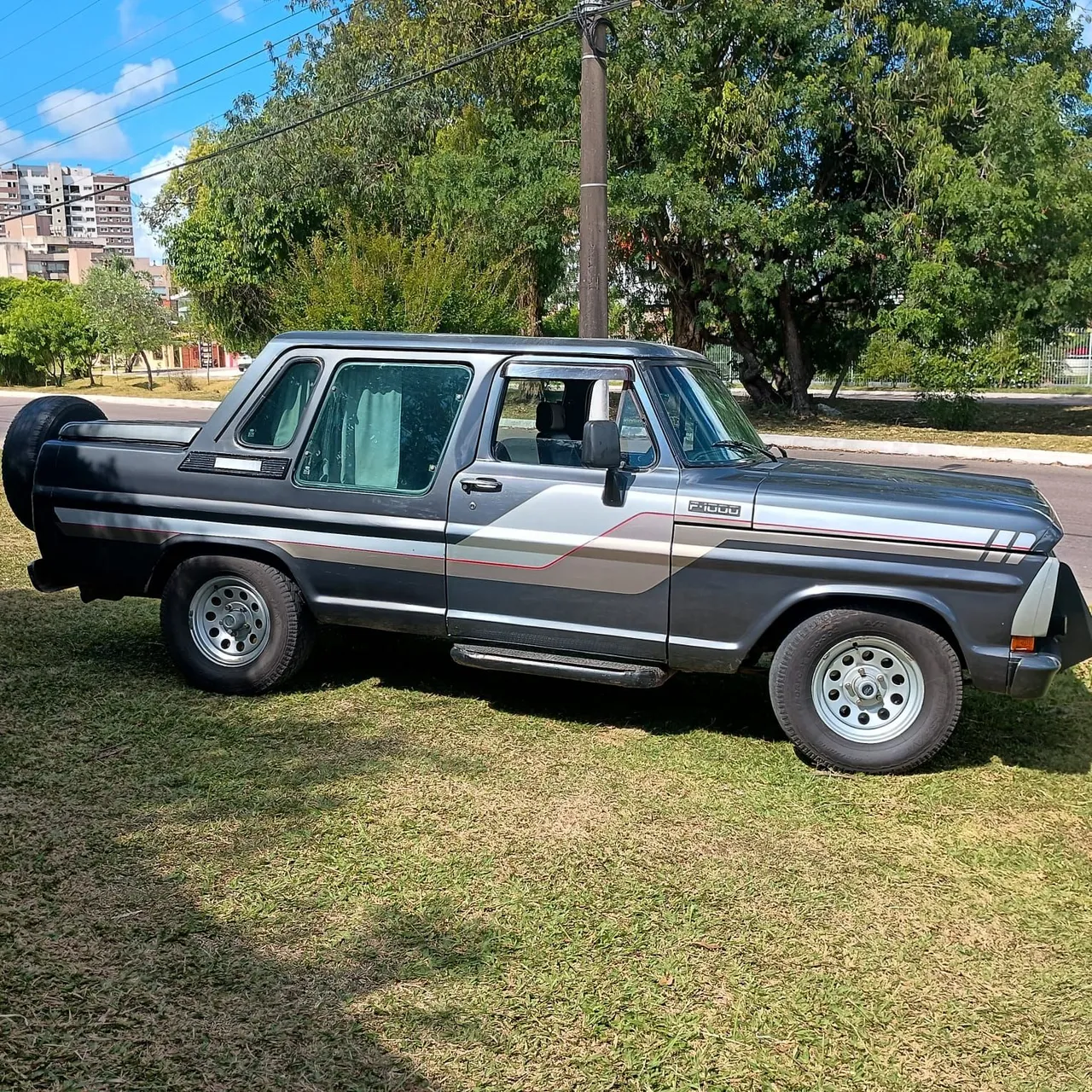 FORD F-1000 Usados e Novos