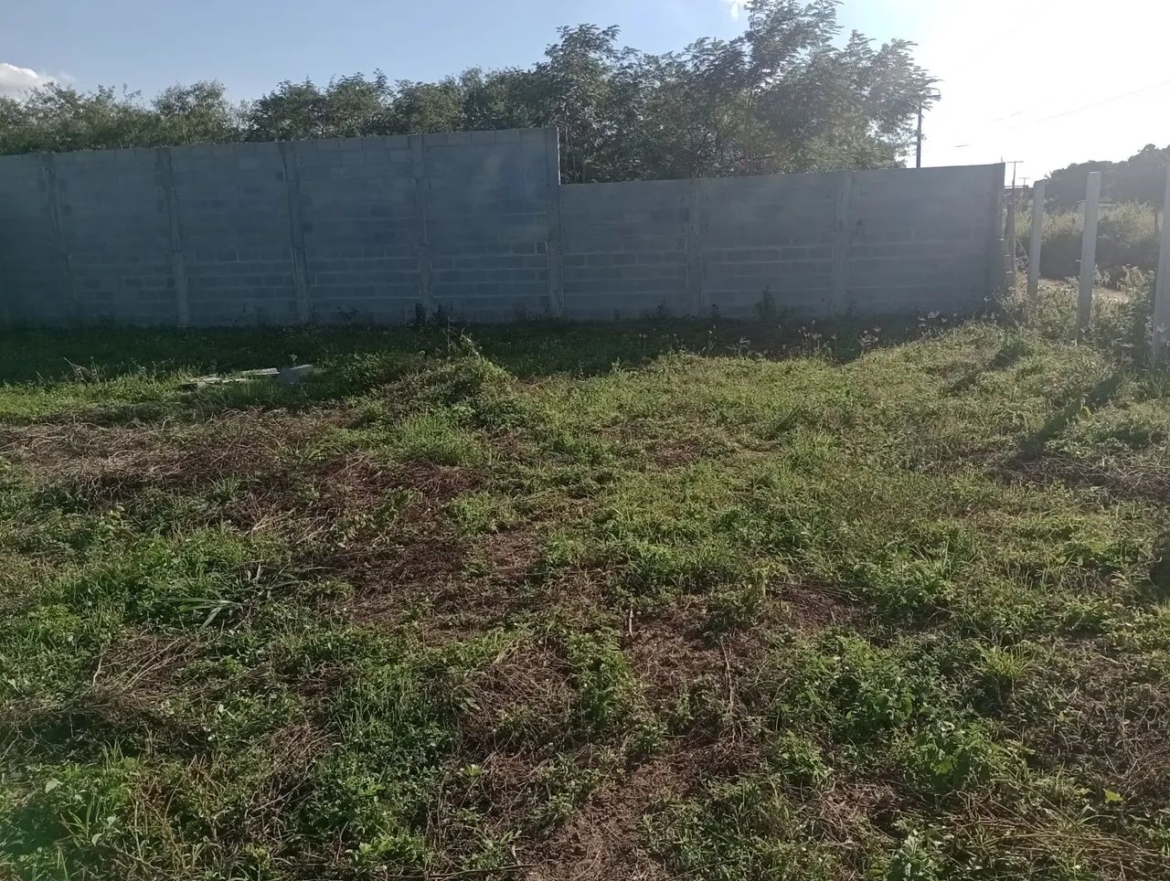 Terreno no distrito da Matinha, valor para vender logo 25.000 ...