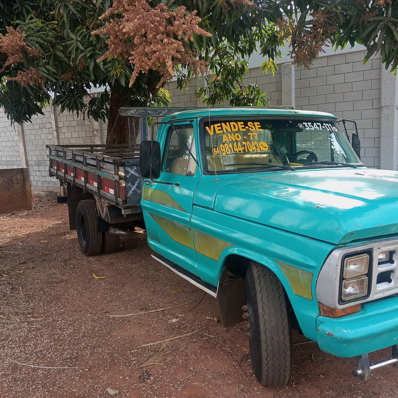 "f4000 4x4" no Brasil