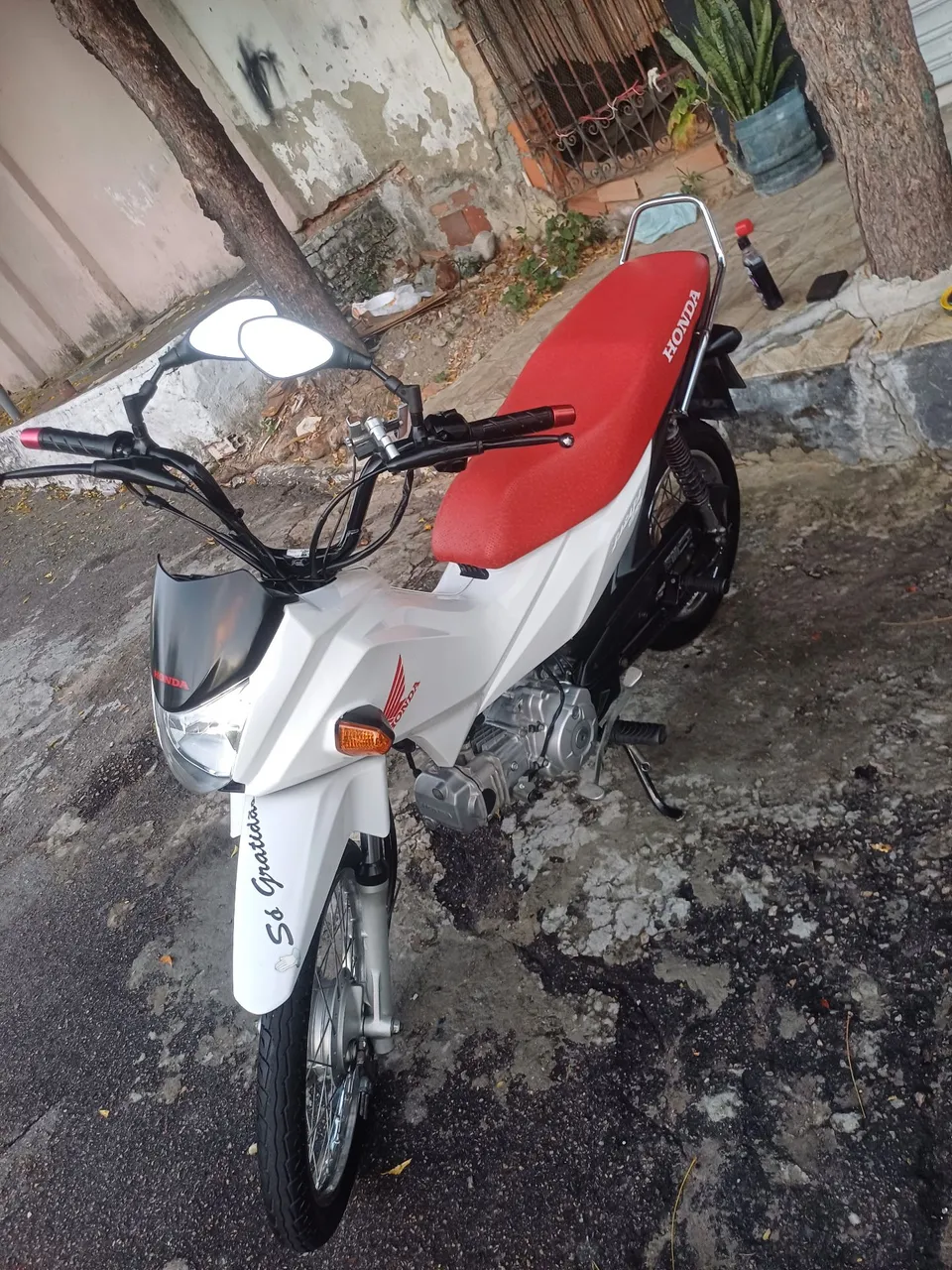 Motos HONDA POP 2024 no Brasil