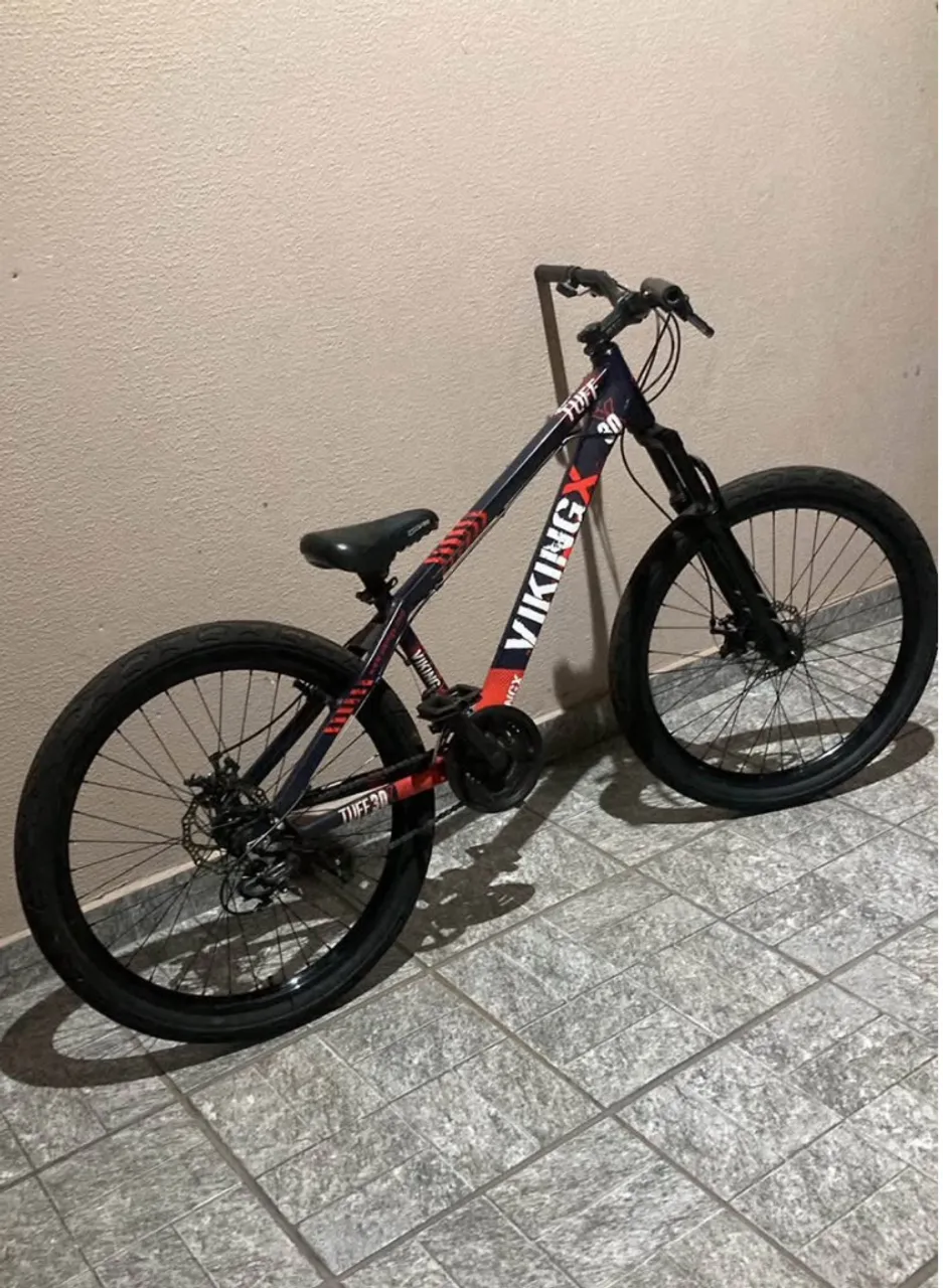 "viking x" no Brasil