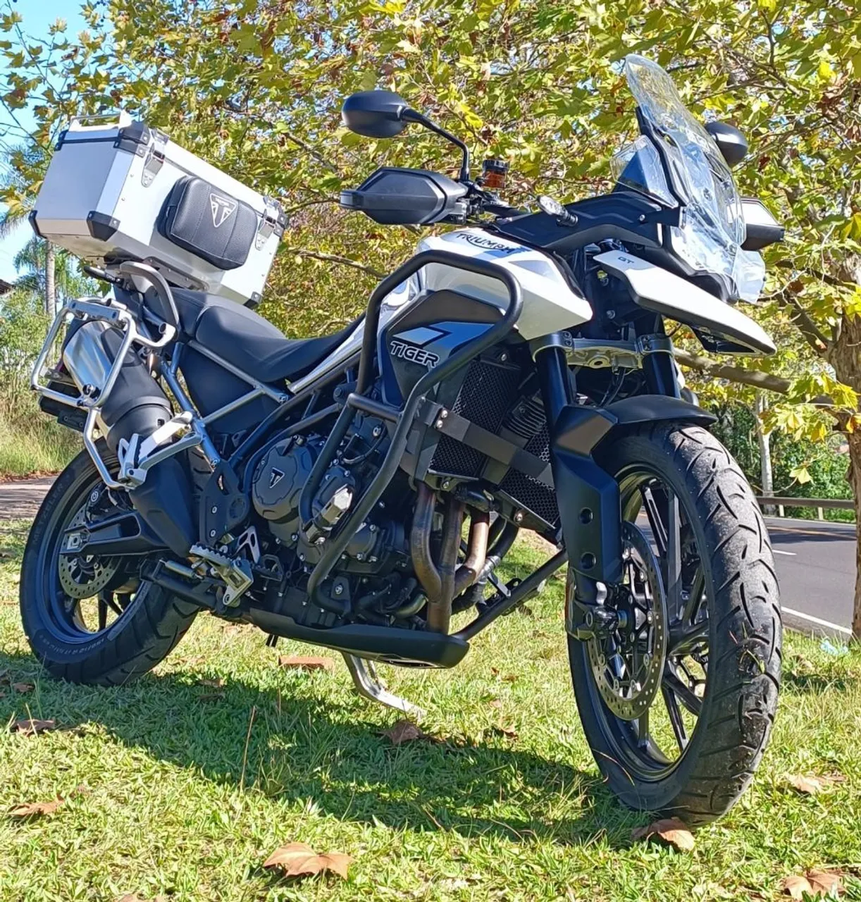 Motos TRIUMPH TIGER no Brasil