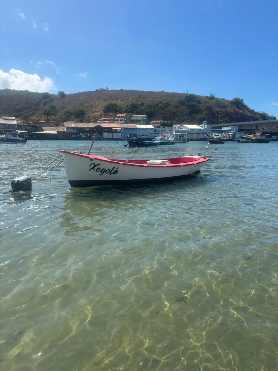 "barco de fibra" no Brasil