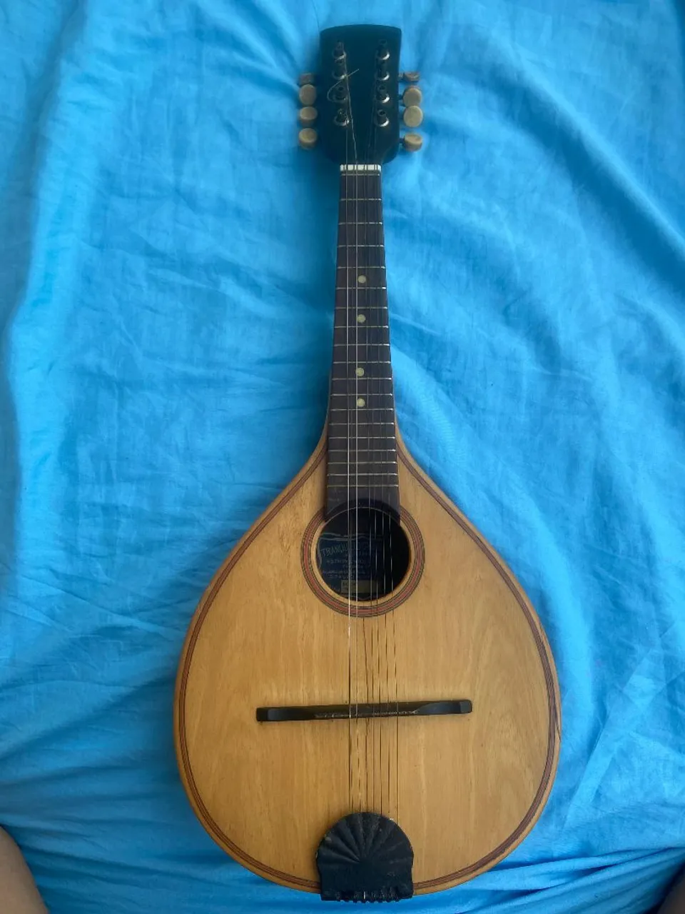 "bandolim" no Brasil