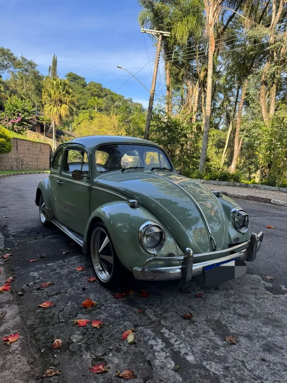VOLKSWAGEN FUSCA 1969 Usados e Novos