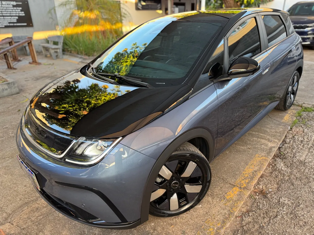 BYD DOLPHIN Usados e Novos