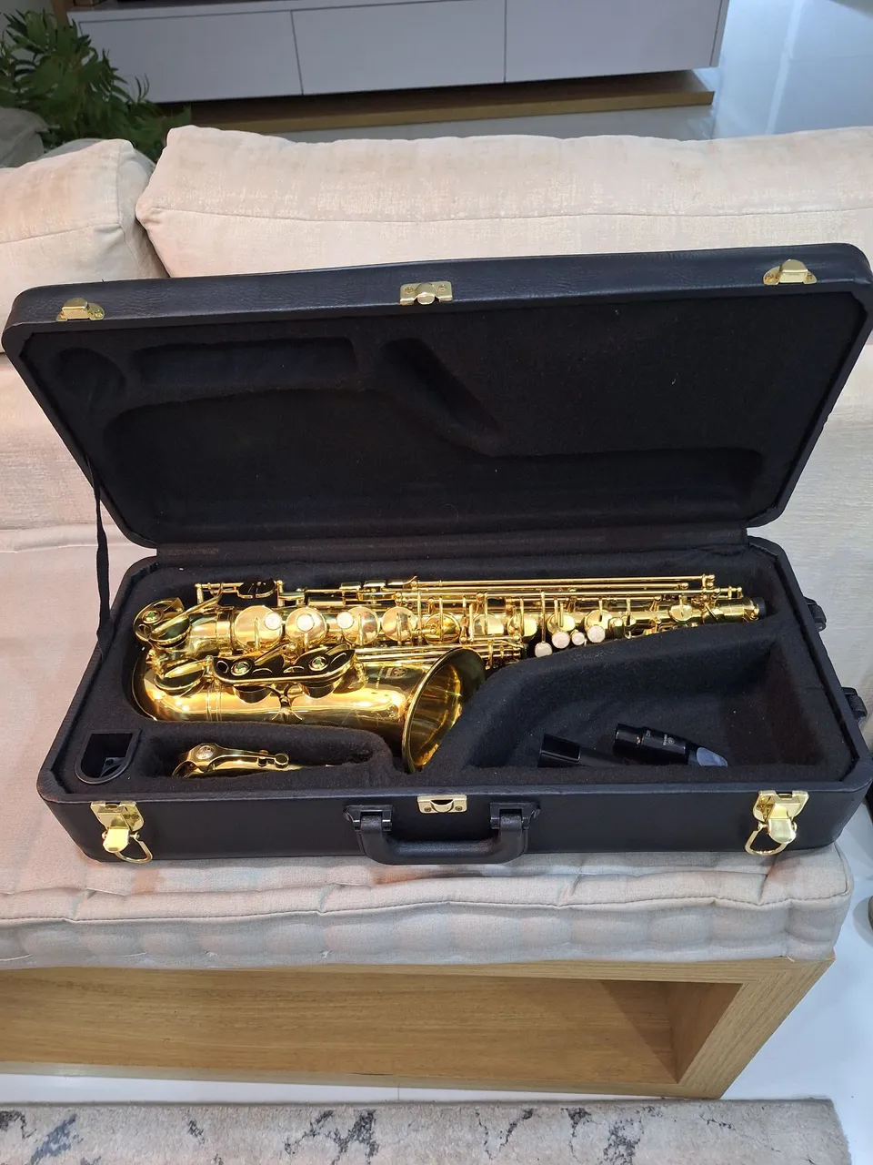 "saxfone alto" no Brasil