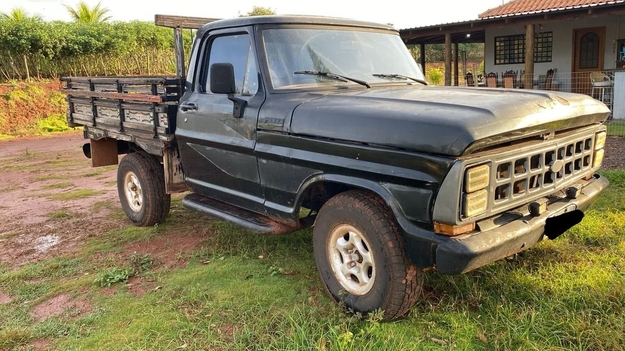 Ford F-1000 Usados e Novos no PR