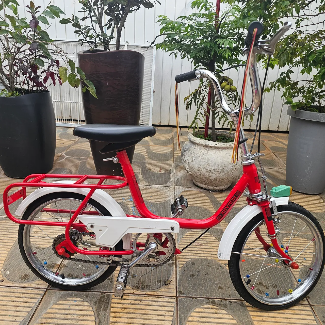 "bicicletas monaretas" - Ciclismo no Brasil