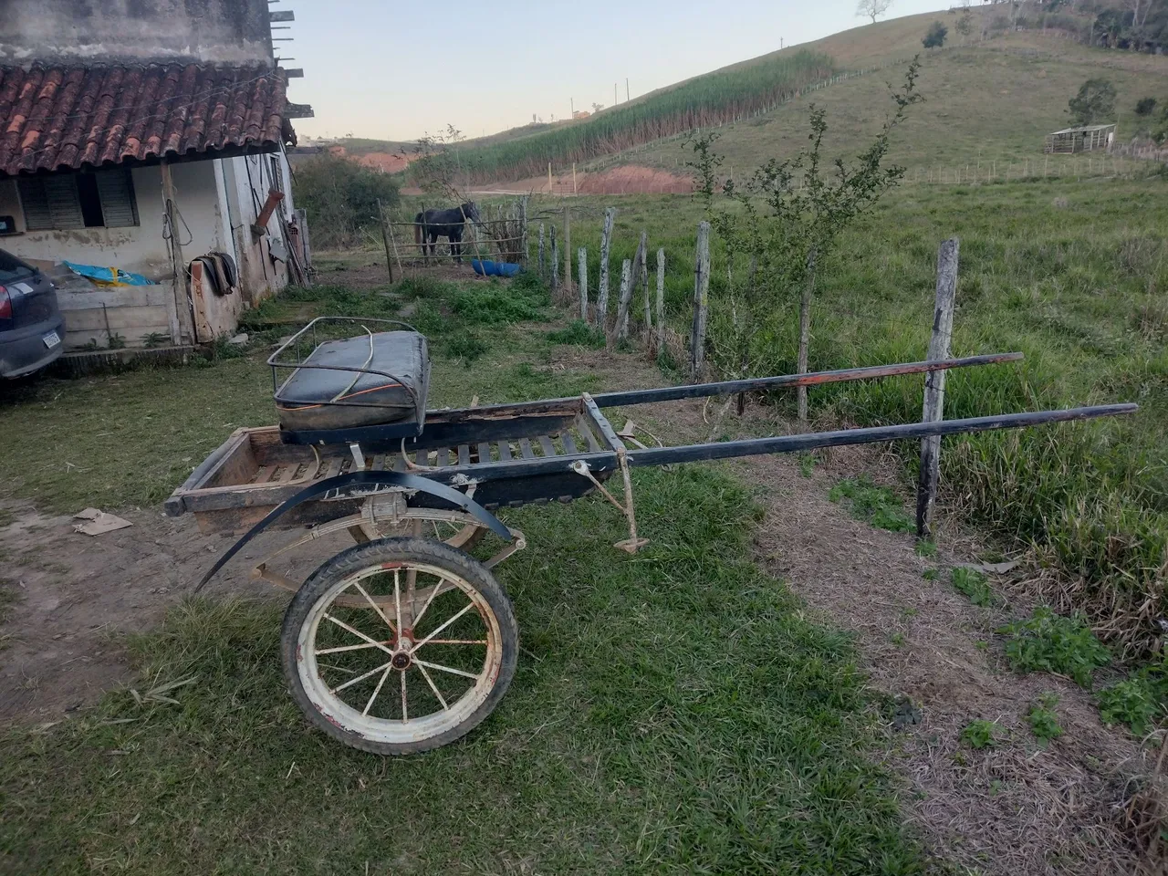 "charrete" no Brasil