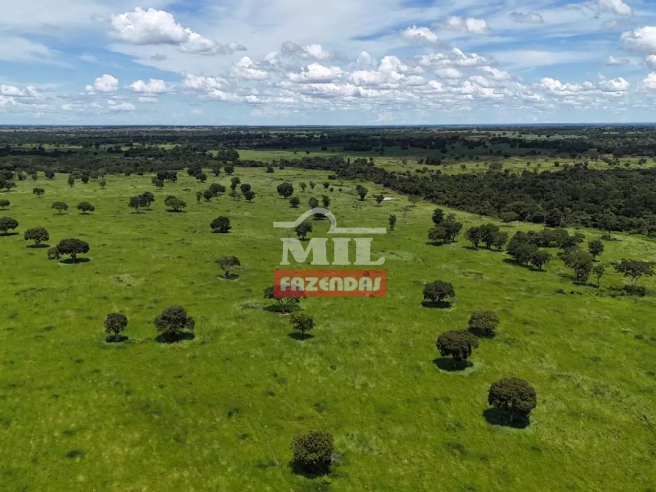 Fazenda 254 Alqueires (1.210 hectares) São Miguel do Araguaia - GO ...