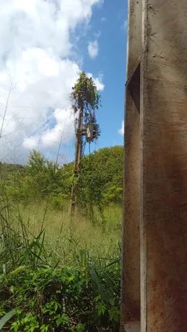 "cruzeta de poste" no Brasil