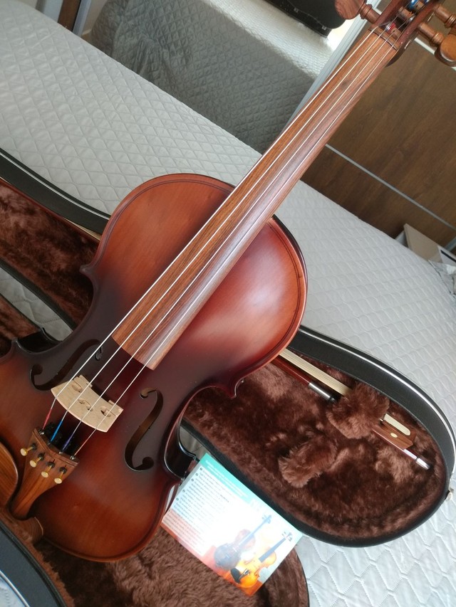 Viola luthier | +121 anúncios na OLX Brasil
