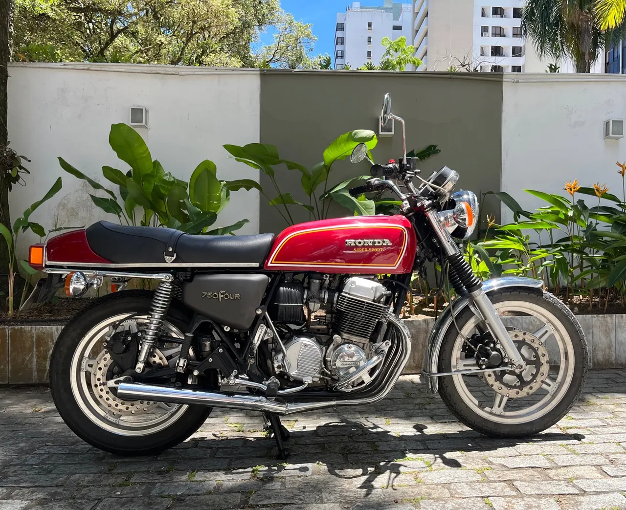 "moto 7 galo" no Brasil