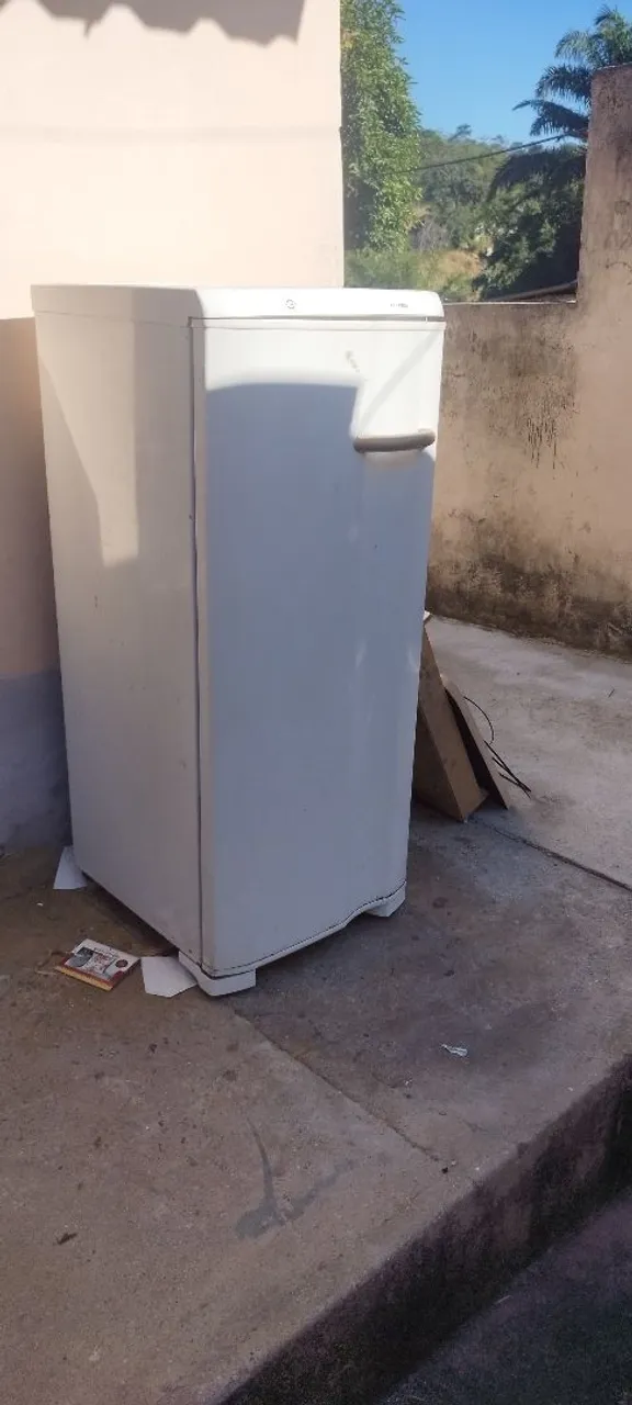 "freezer vertical frost free" - Geladeiras e Freezers no Brasil