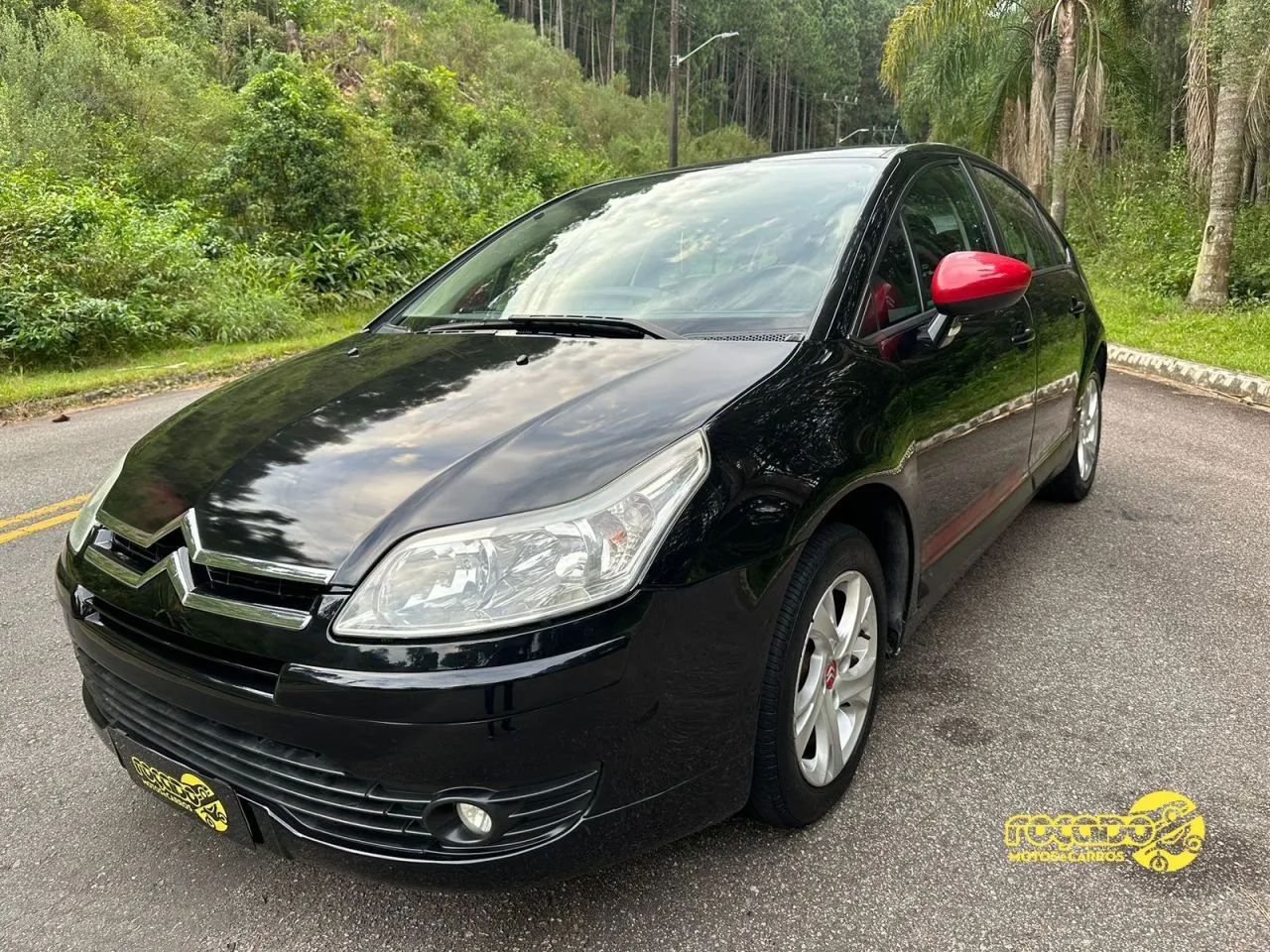 CITROEN C4 2014 Usados e Novos
