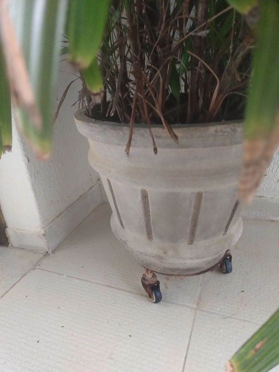Vaso de planta com rodinhas - Jardinagem e Plantas - Atalaia, Aracaju ...