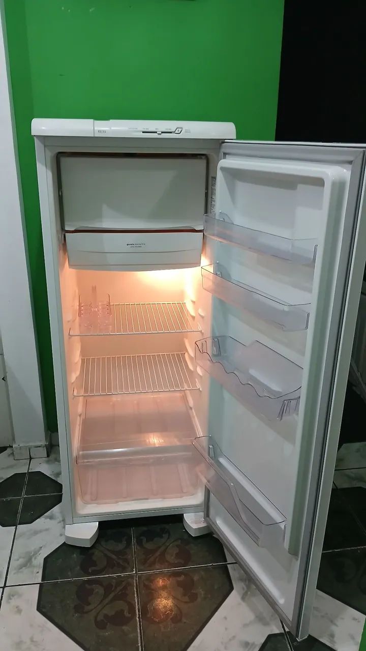 Geladeira electrolux 110v ( ENTREGO ) - Geladeiras e Freezers - Jardim ...