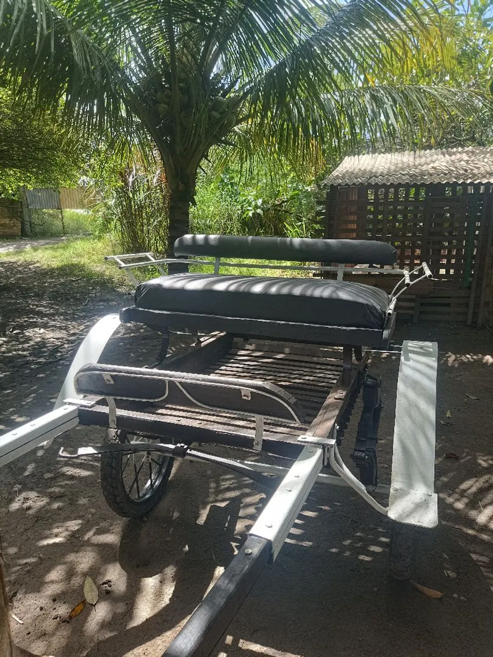 "charrete" no Brasil