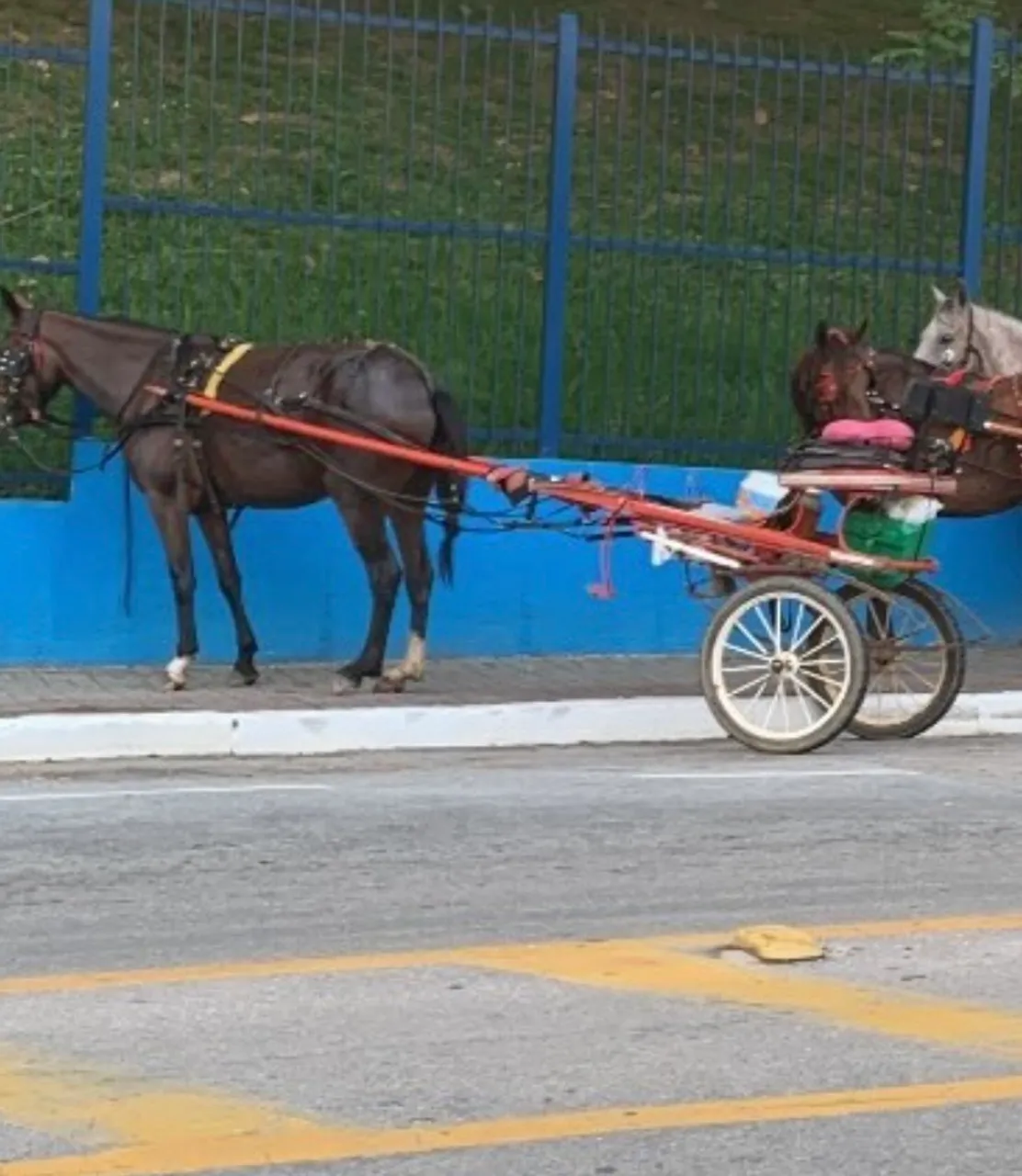 "charrete" no Brasil