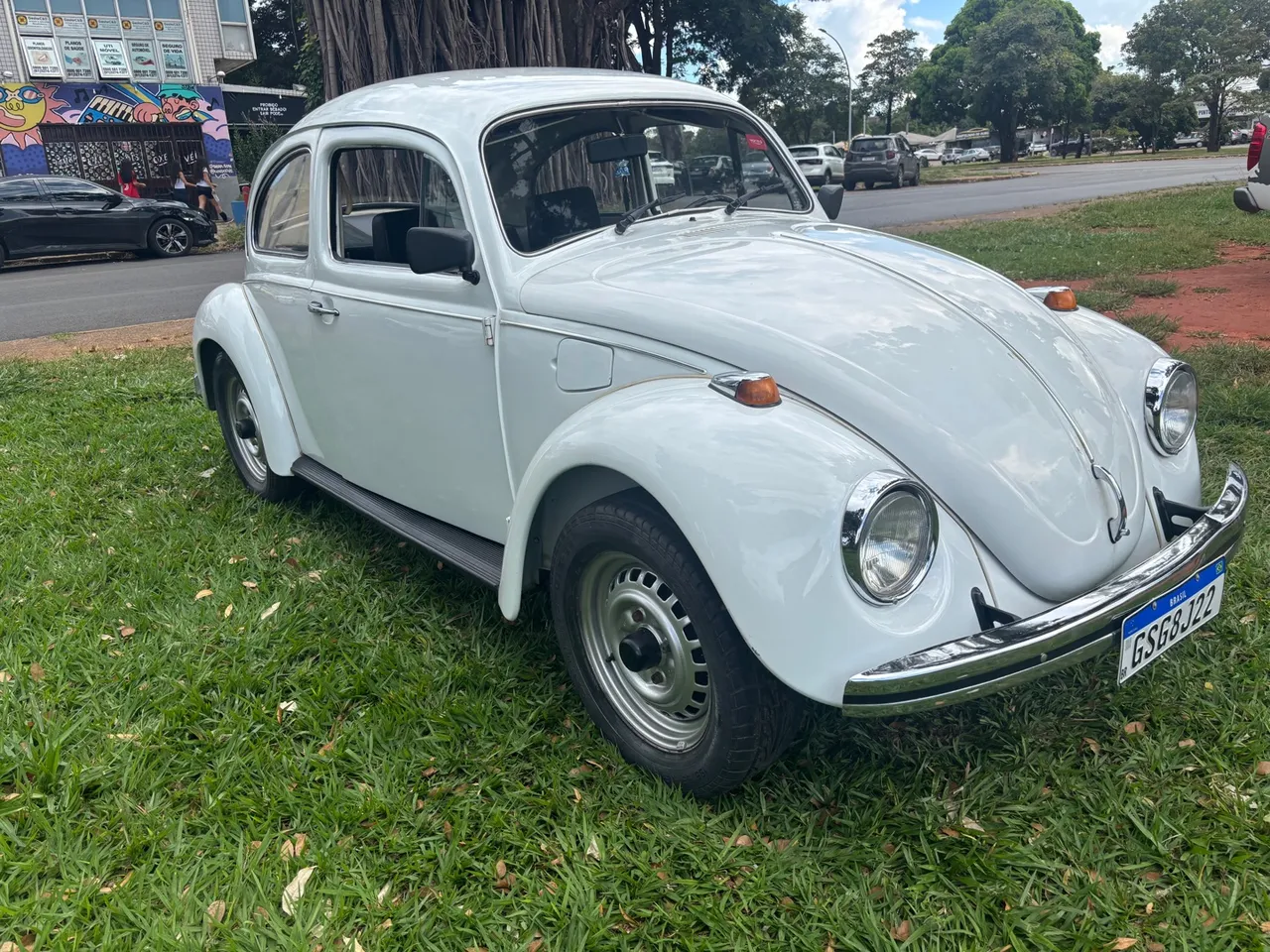 VOLKSWAGEN FUSCA 1979 Usados e Novos