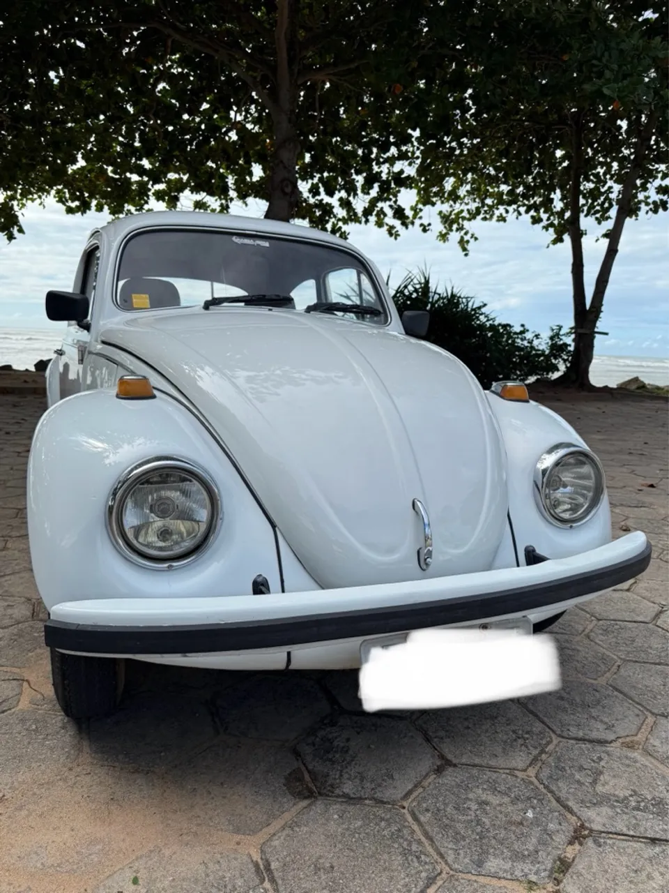 VOLKSWAGEN FUSCA 1984 Usados e Novos