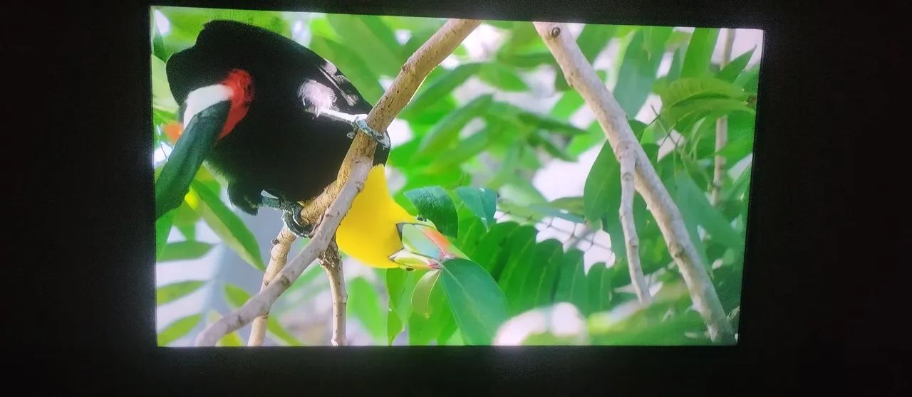 "smart tv 40 polegadas bluetooth" no Brasil