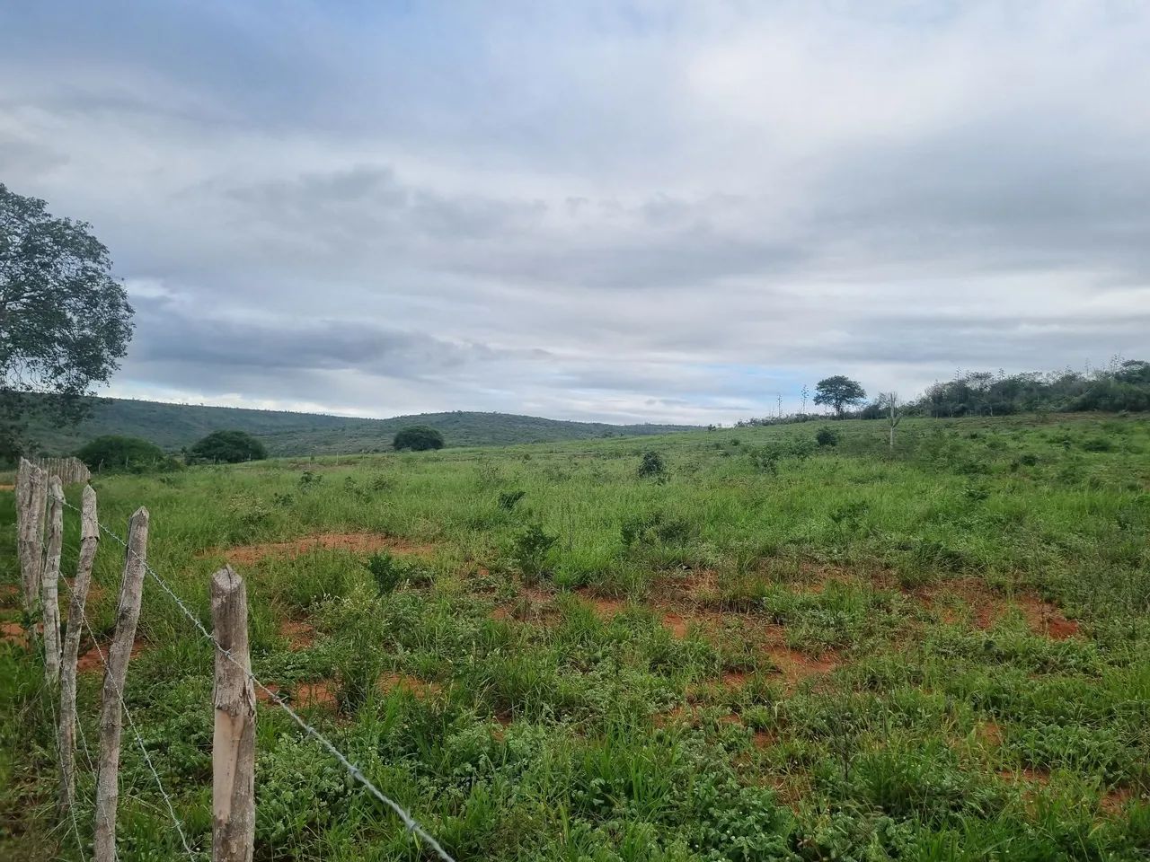 Vendo troco fazenda - Terrenos, sítios e fazendas - Brejões 1472263949 ...