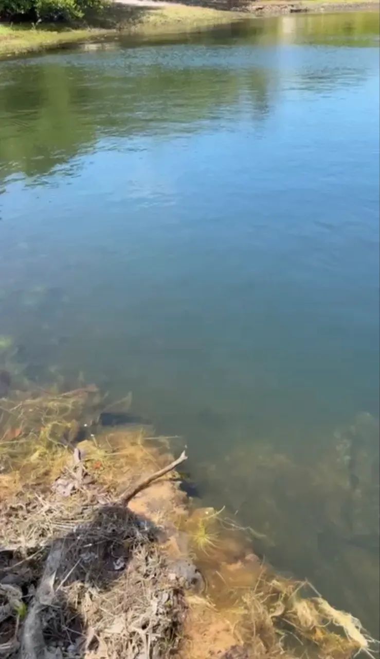 Terreno na Estrada que dar acesso ao Mandacaru e Atins.. - Terrenos ...