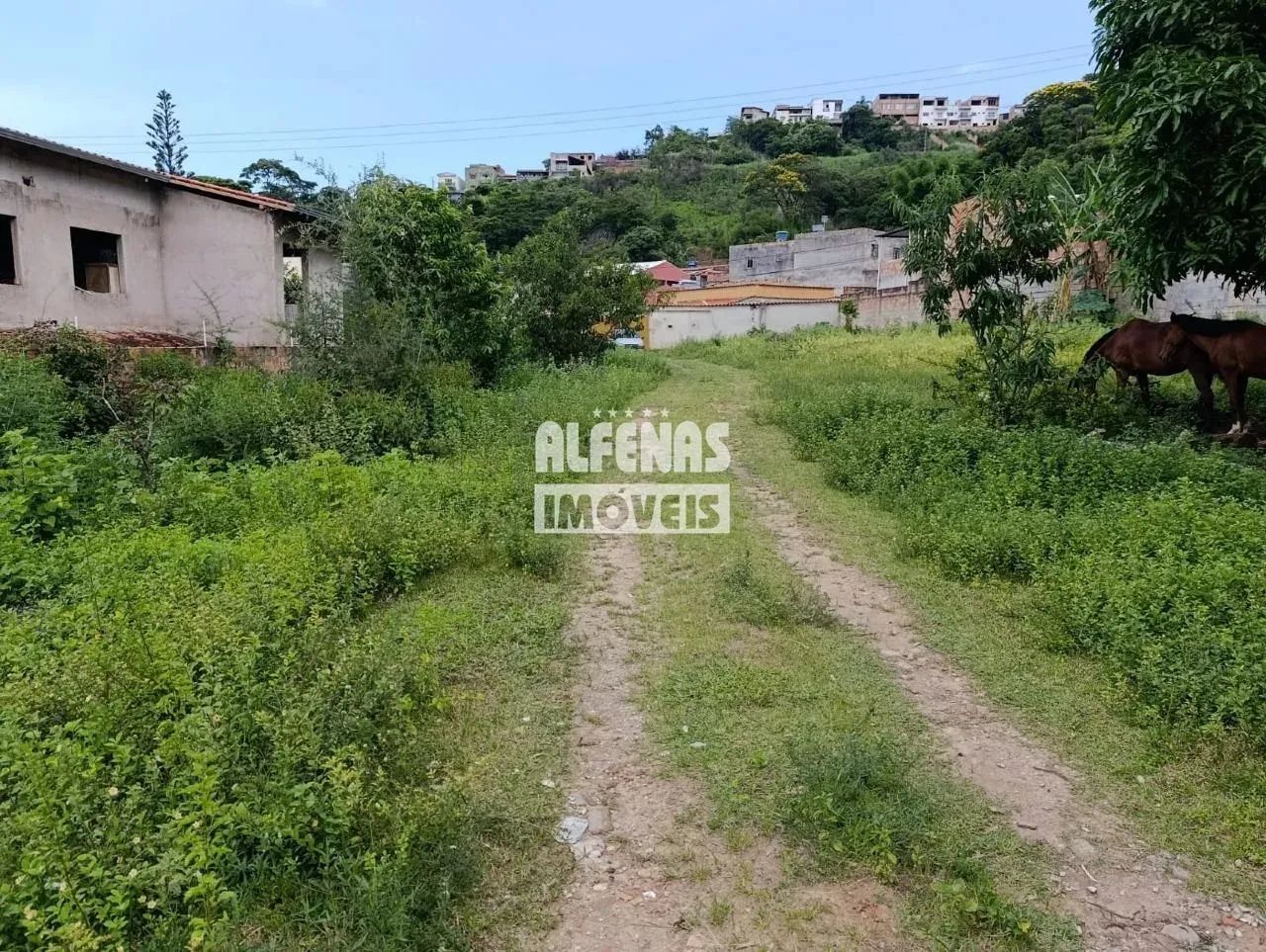 Área à venda no Bairro TROPICAL - Terrenos, sítios e fazendas ...