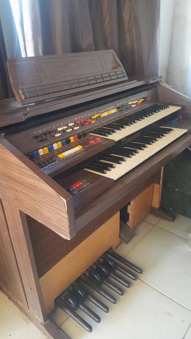 "orgaos minami" no Brasil