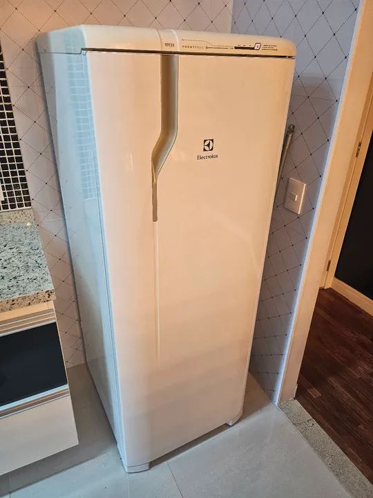"geladeira electrolux rfe39" no Brasil
