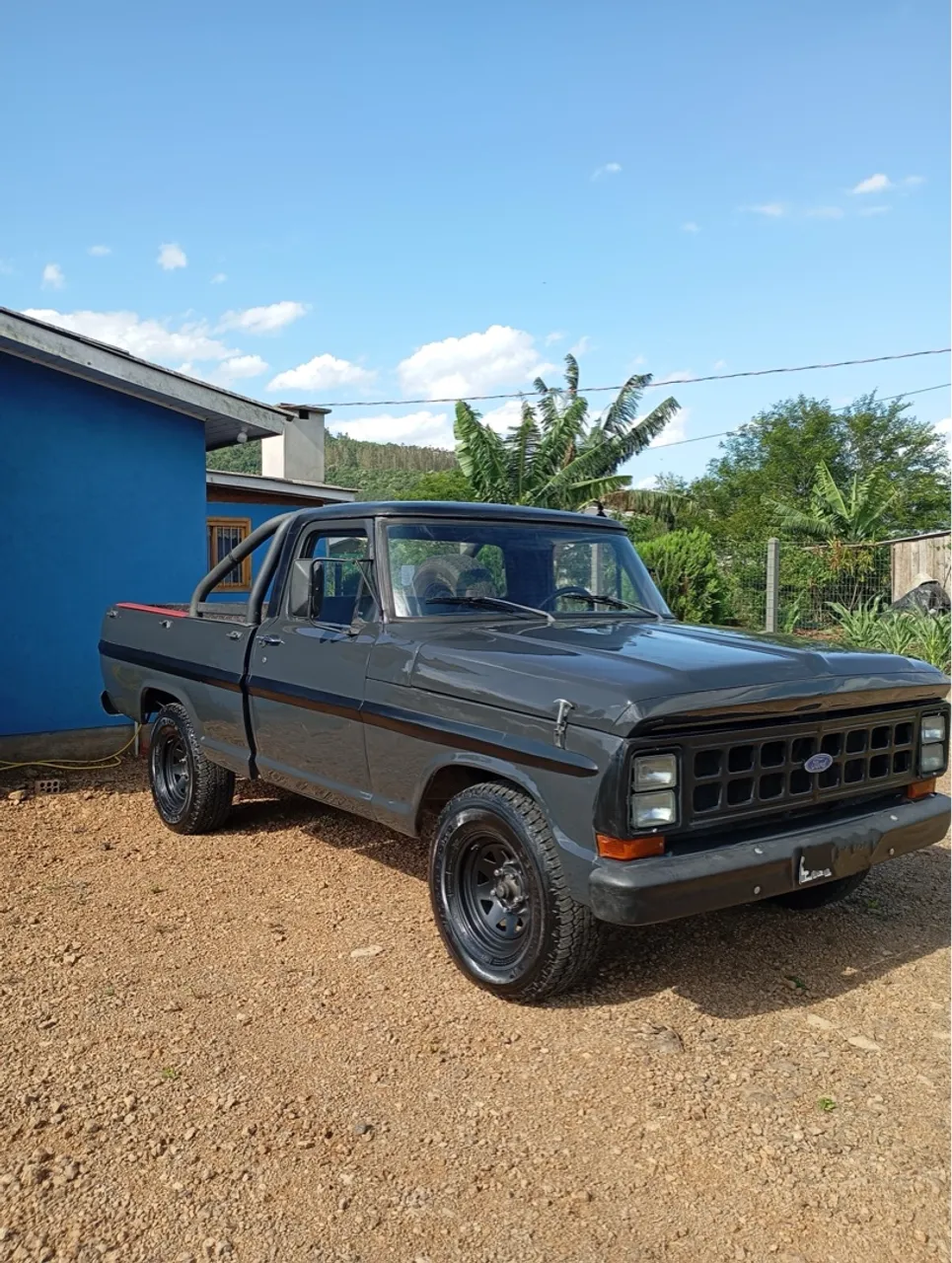 FORD F-100 Usados e Novos
