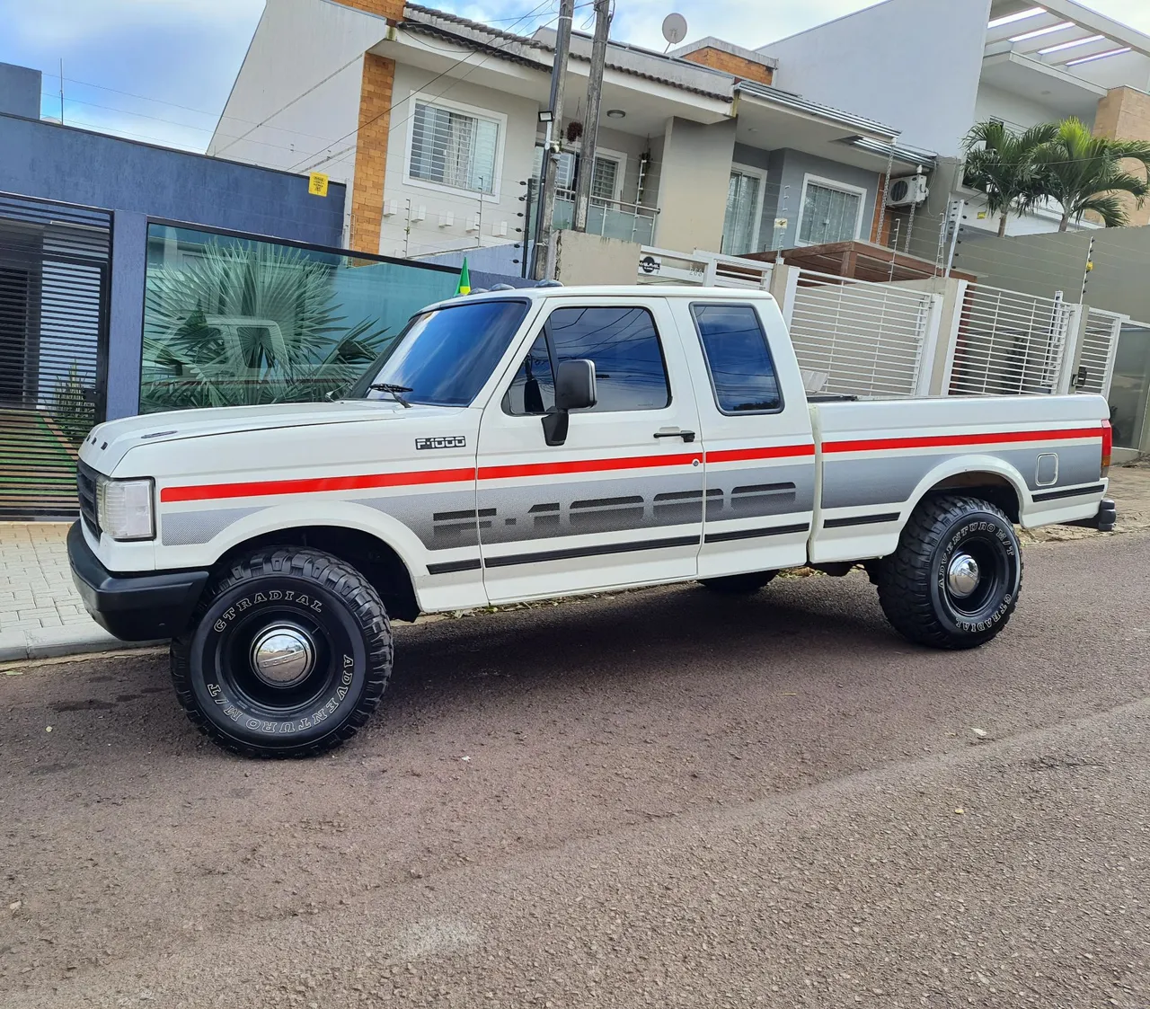 FORD F-1000 Usados e Novos