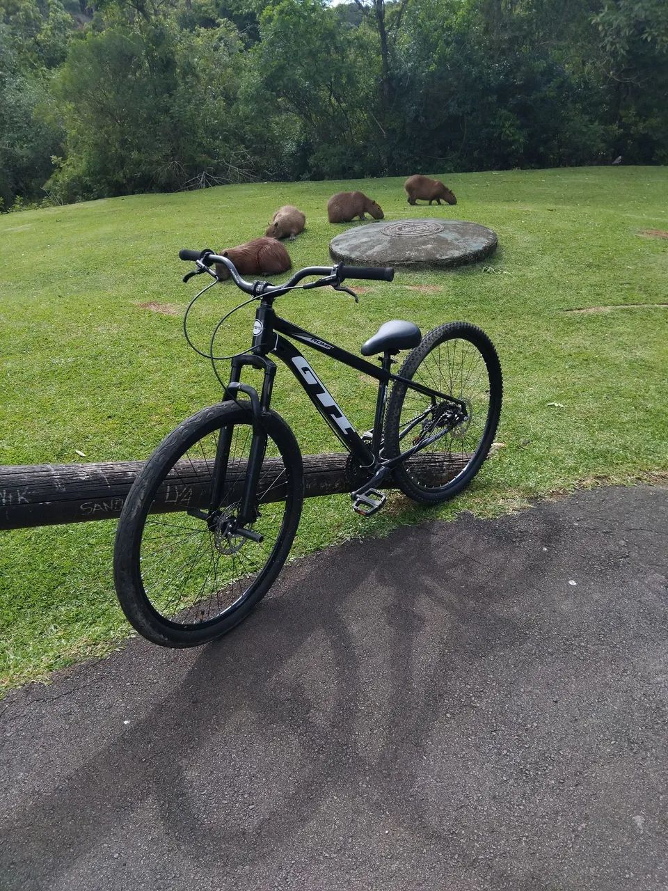 Bike aro 29 pro grau, pego gios e dou volta - Ciclismo - Jardim Monte ...