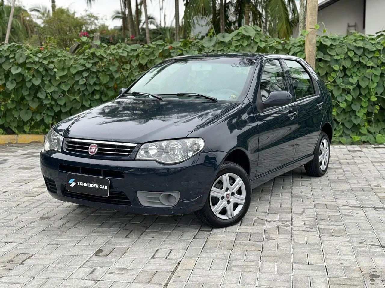FIAT PALIO Usados e Novos em SC
